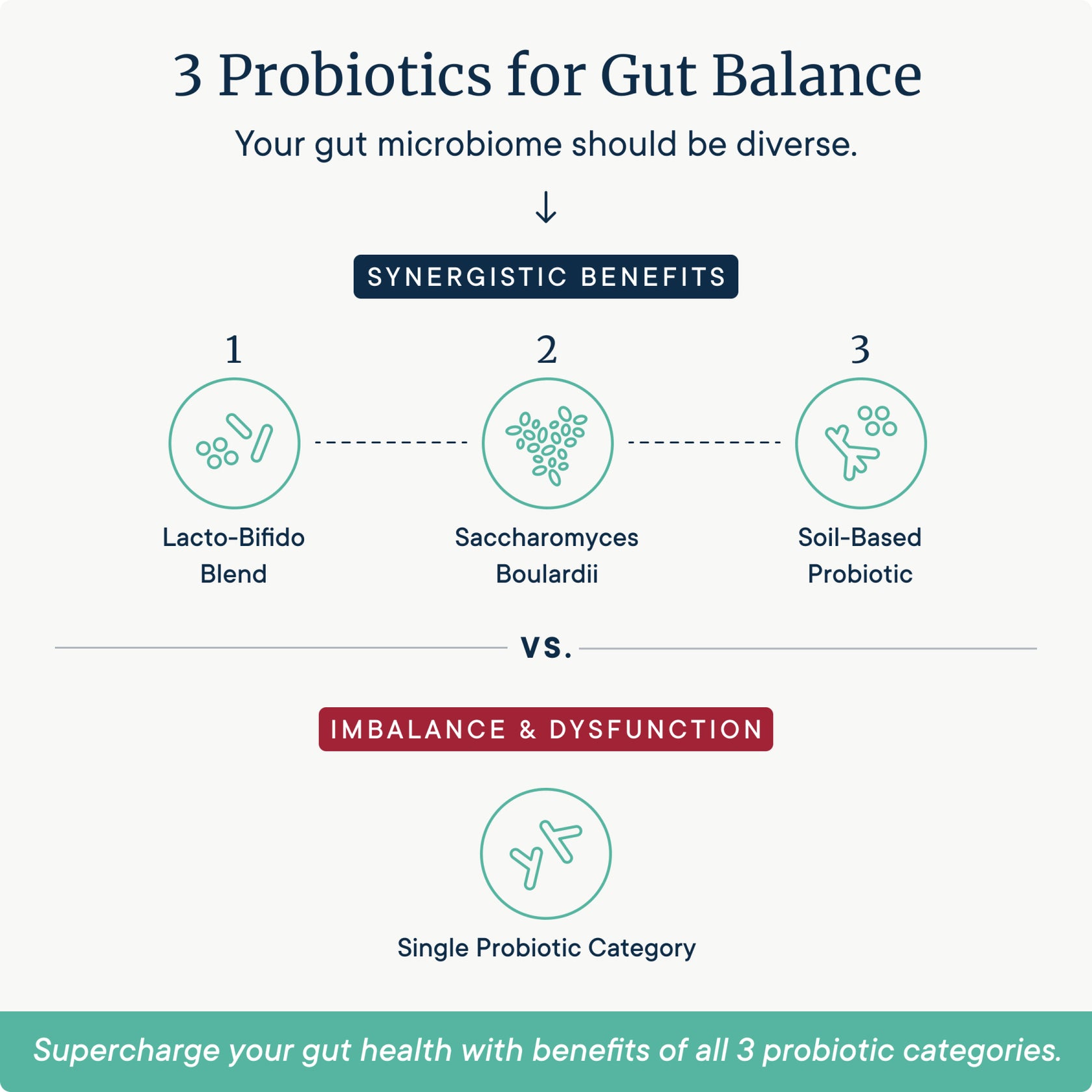 Triple Therapy Probiotic Powder Sticks – The Ruscio Institute LLC