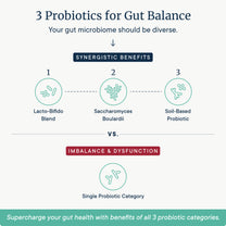 Triple Therapy Probiotic Powder Sticks – The Ruscio Institute LLC