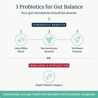 Triple Therapy Probiotic Powder Sticks – The Ruscio Institute LLC